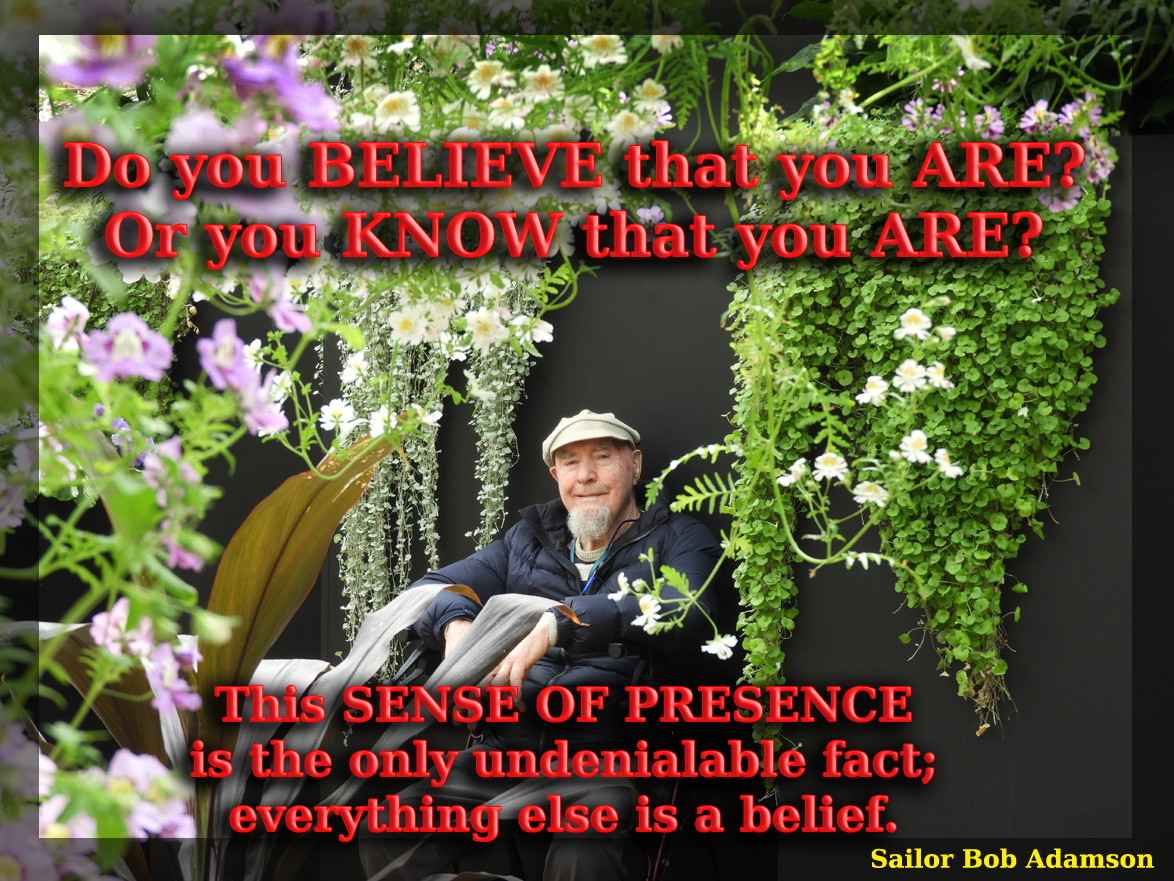 Contact - Sailor Bob Adamson - Nonduality