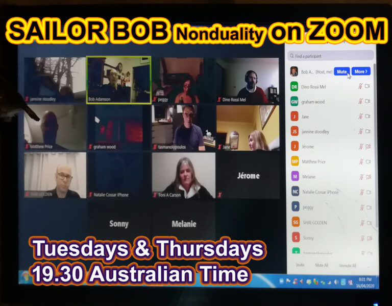 Meetings - Sailor Bob Adamson - Nonduality