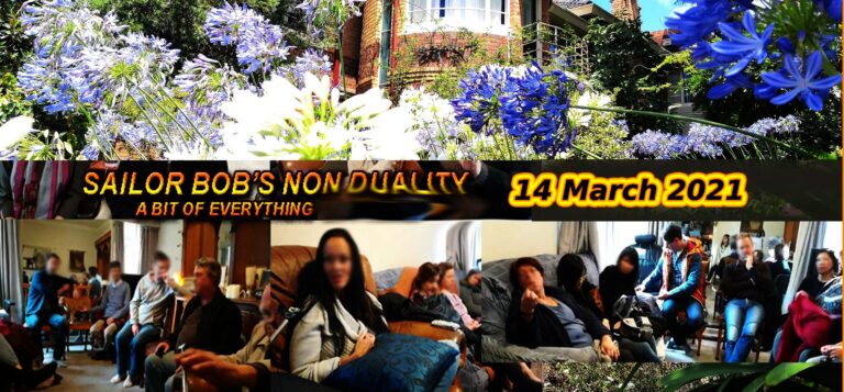 Meetings - Sailor Bob Adamson - Nonduality